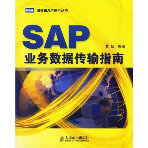 SAP业务数据传输指南