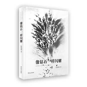 像钻石一样闪耀 陈晓维 著