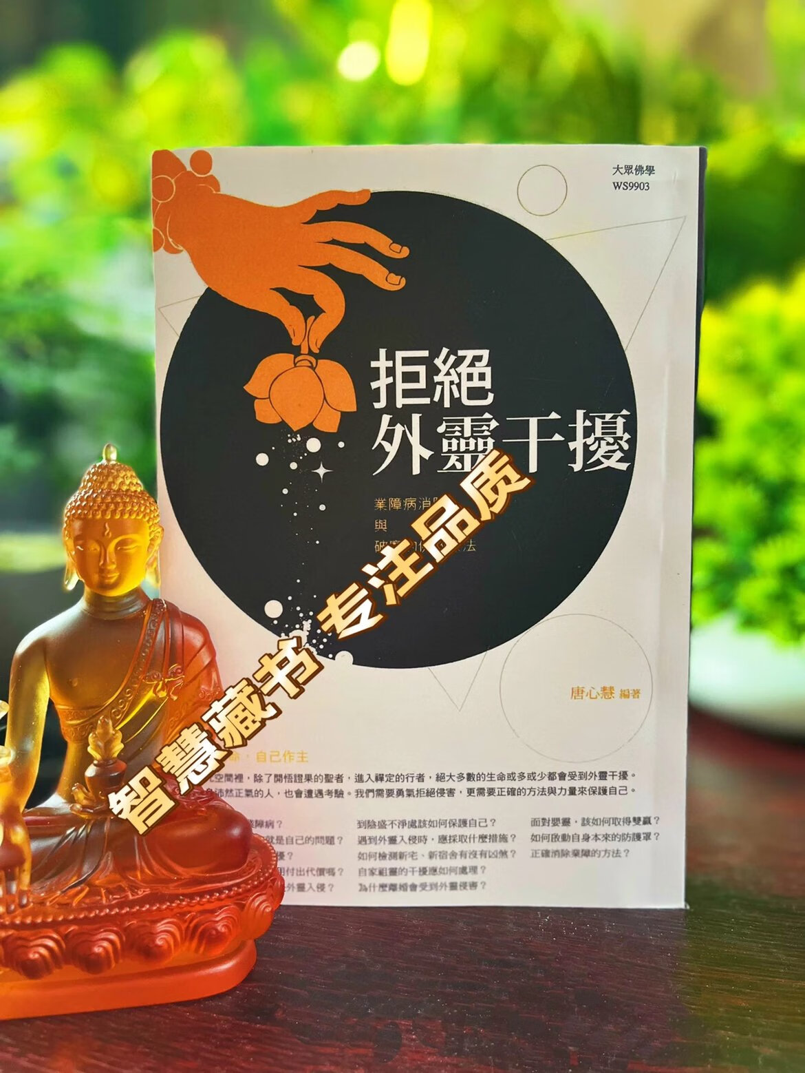 《拒绝外靈干擾- 业障病消除与破魔的佛教疗法》