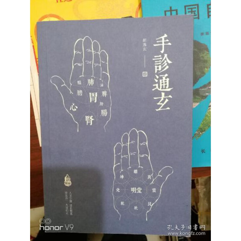 手诊通玄中医书籍 中医书籍