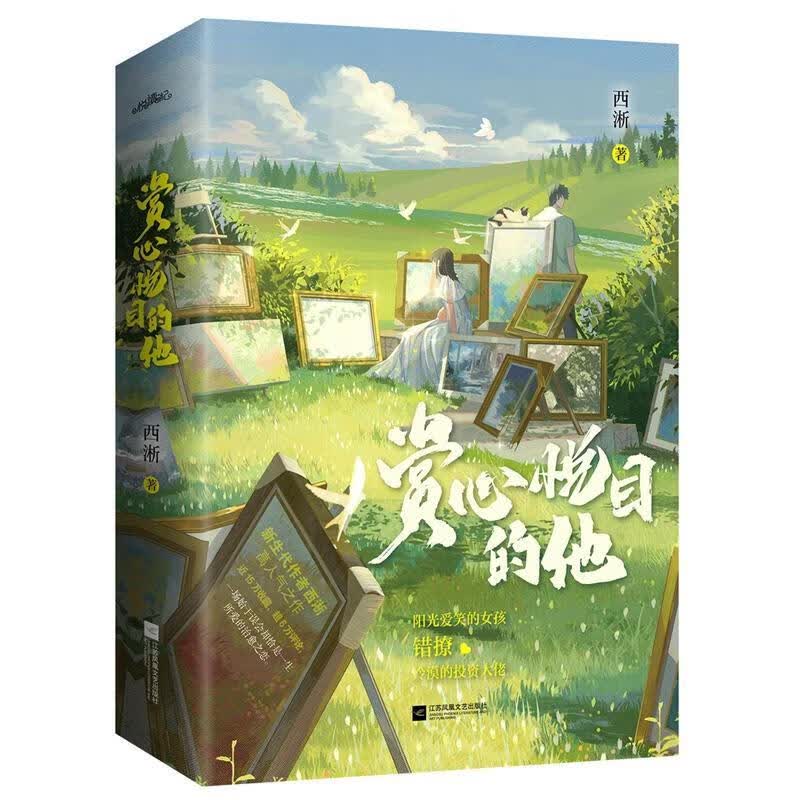 赏心悦目的他青春文学 图书