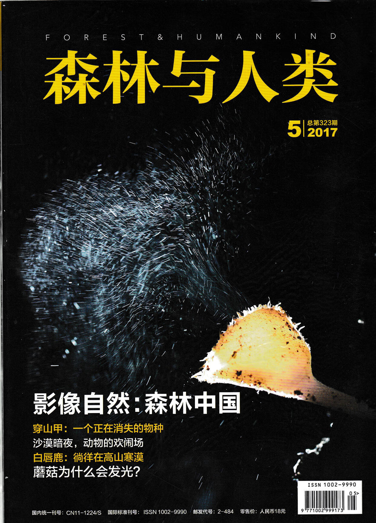 【共8本】森林与人类杂志2017年2/3/4/5/6/9/10/12月共8本 2017年5月影像自然；森林中国