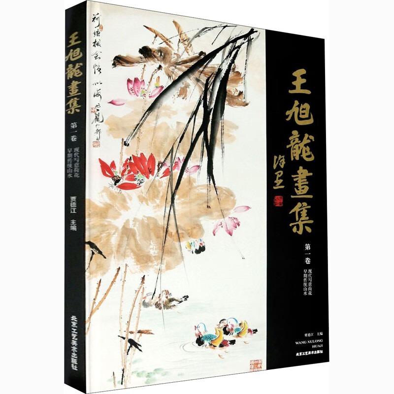 王旭龙画集 第1卷 图书