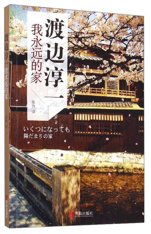 渡边淳一我永远的家 [日]渡边淳一 侯为证【好书】
