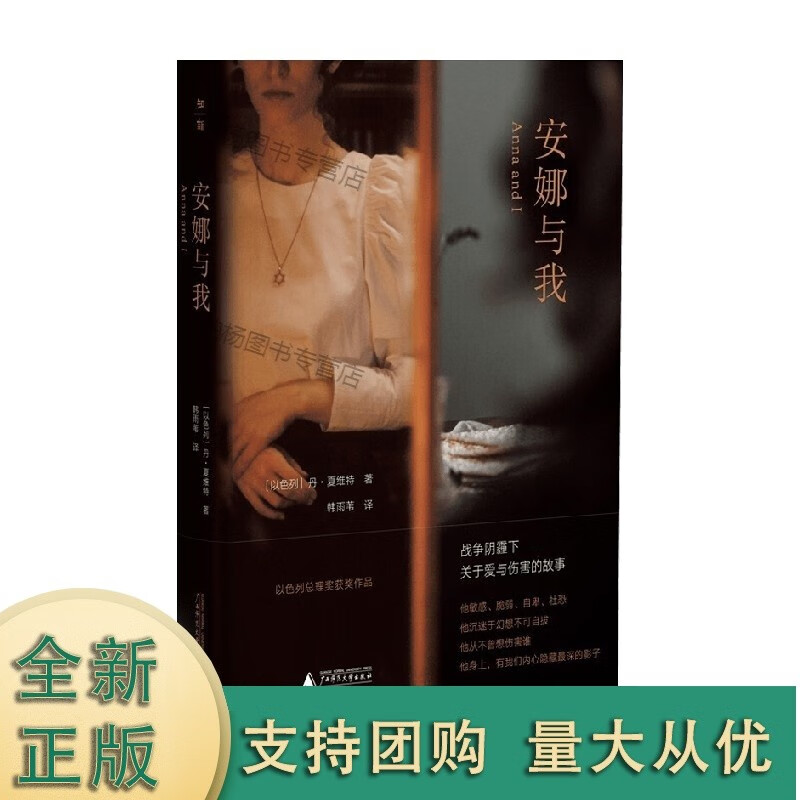 安娜与我 丹·夏维特 著 小说
