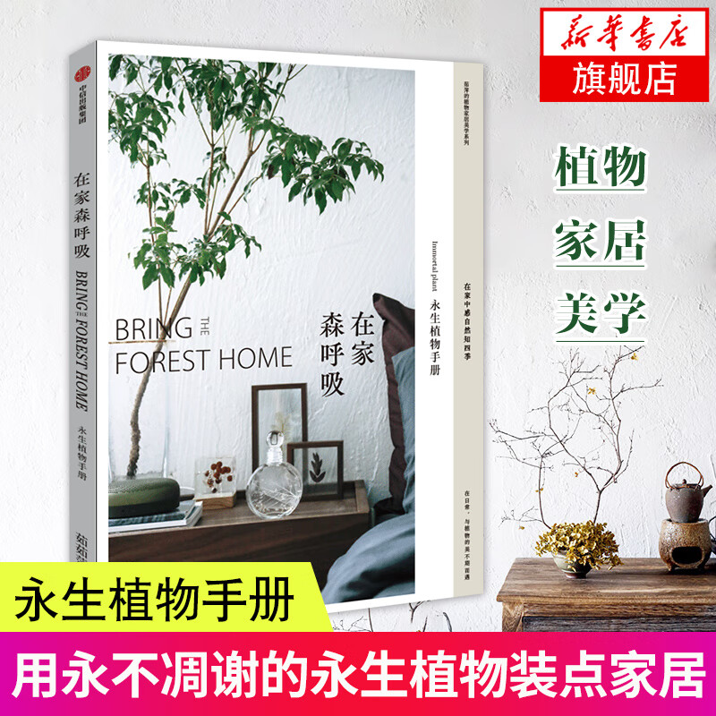 在家森呼吸：永生植物手册