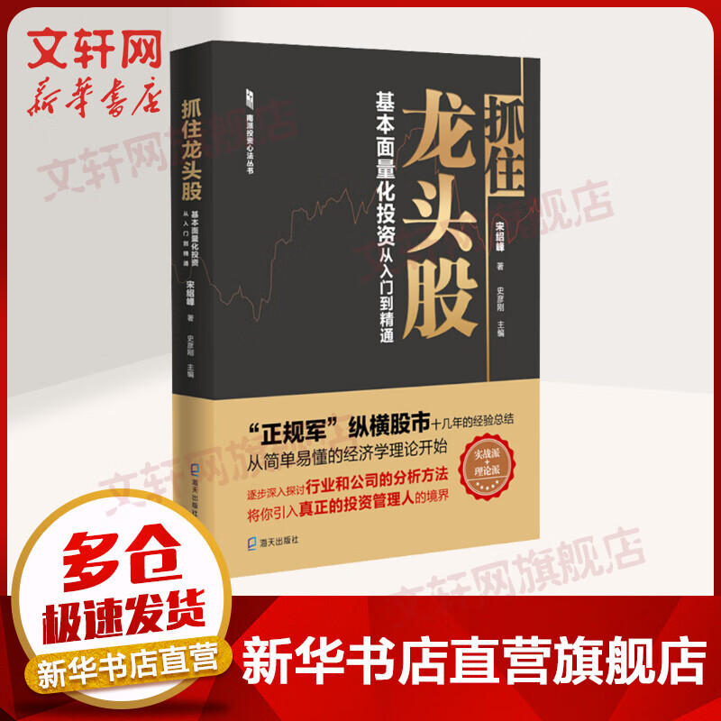 抓住龙头股 基本面量化投资从入门到精通