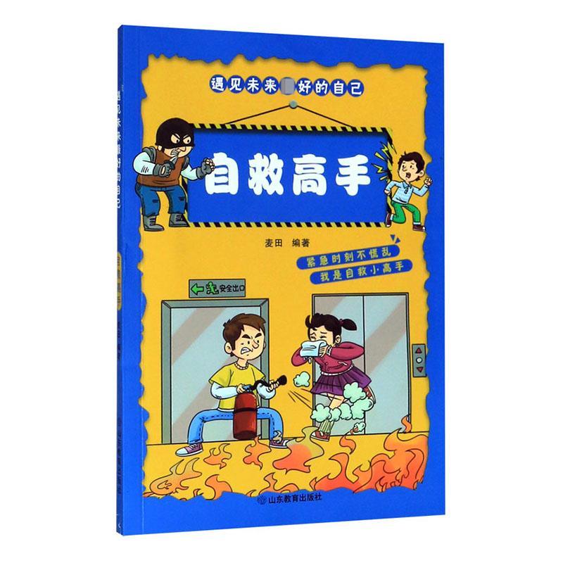 自救高手麦田励志与成功9787532899258
