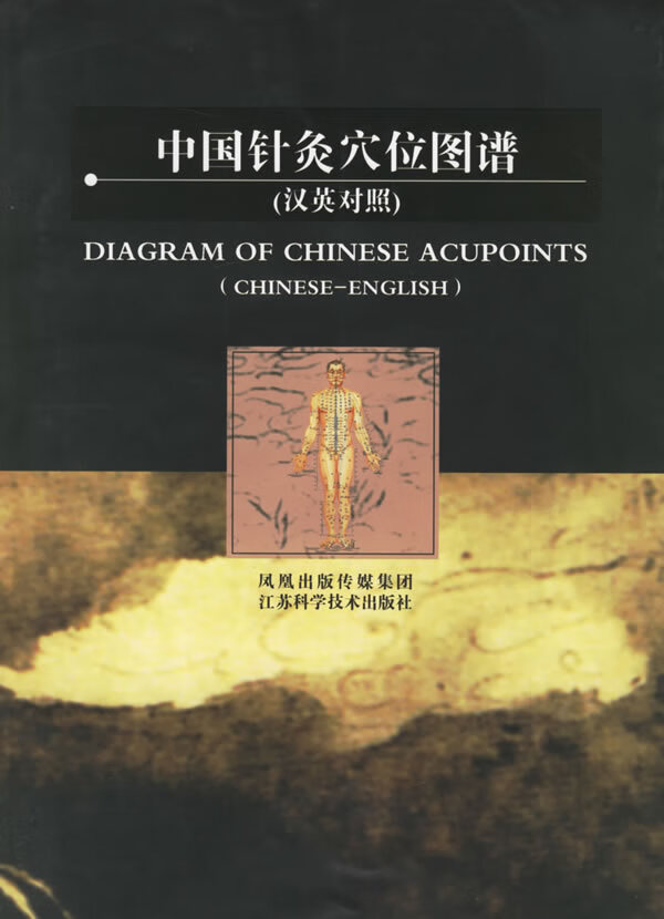 中国针灸穴位图谱 王玲玲 等编译