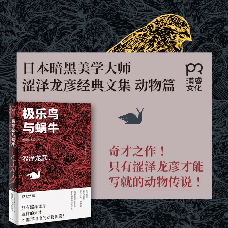 极乐鸟与蜗牛
