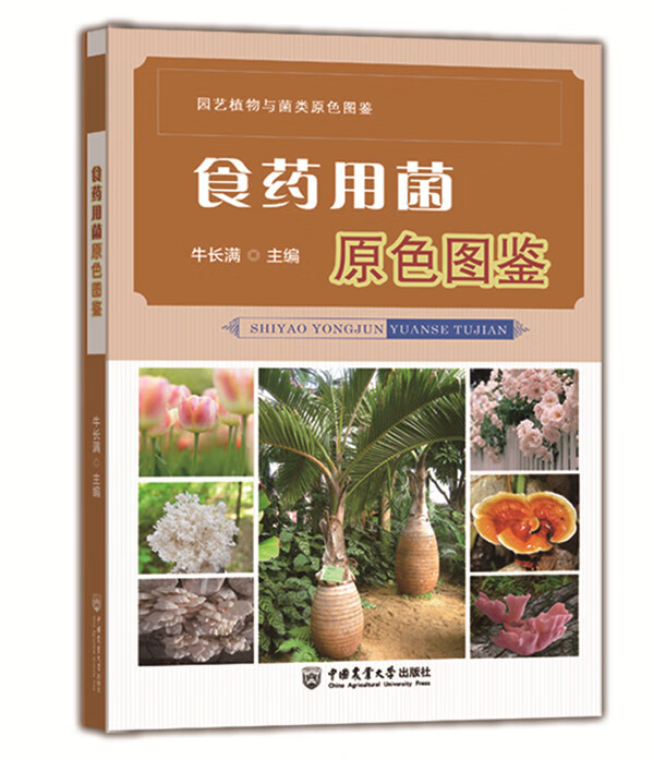 食药用菌原色图鉴 牛长满