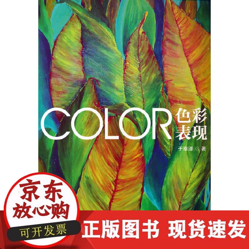 【现货】色彩表现