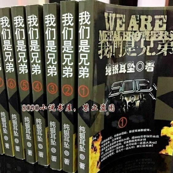 《我们是兄弟》全套完整无删减全集结局 作者:纯银耳坠
