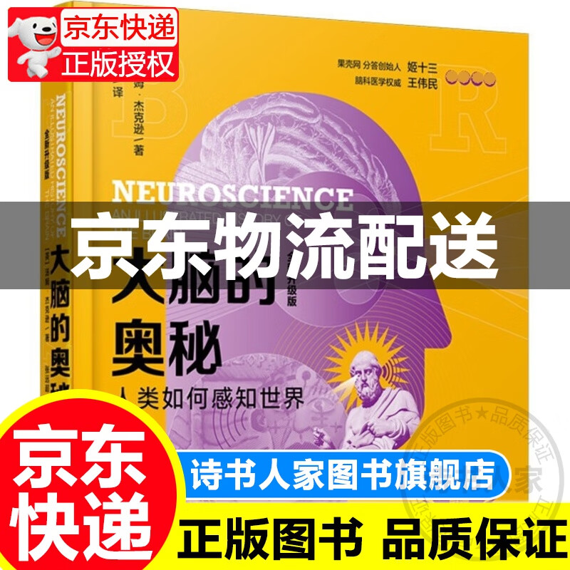 大脑的奥秘：人类如何感知（全新升级版）