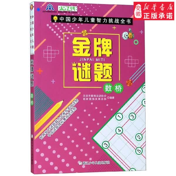 谜题(数桥)/中国少年 智力挑战全书ZS