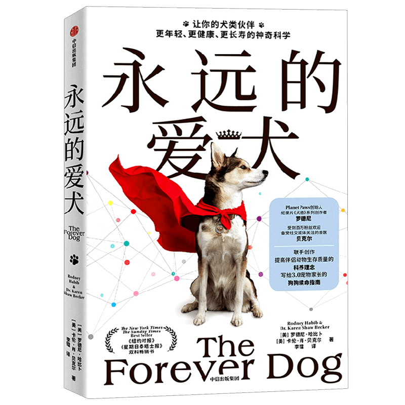 永远的爱犬