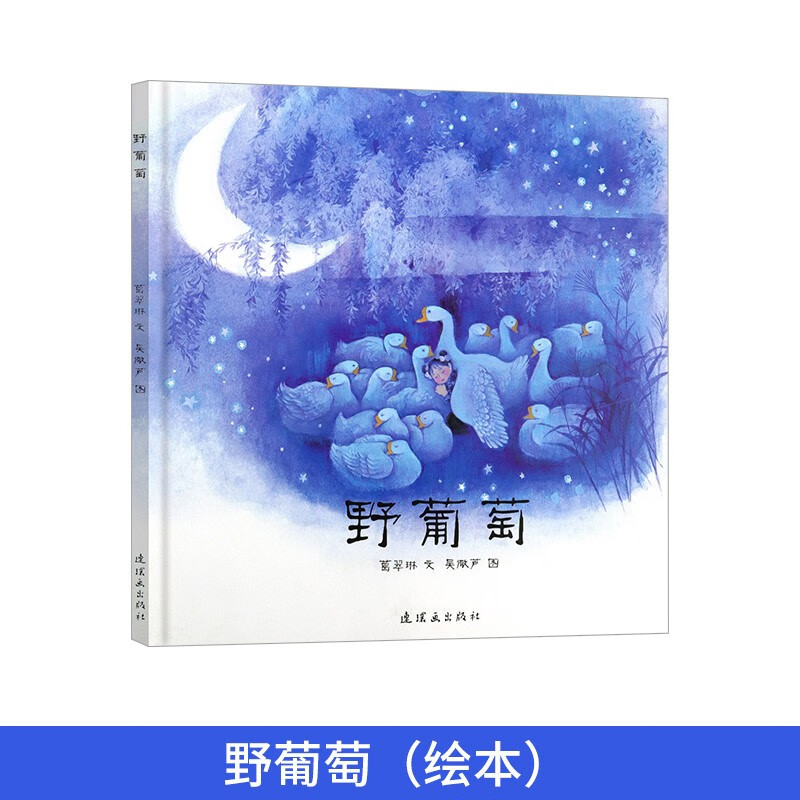 2023年一年级北京暑假阅读书目9册会飞的学校北京小孩感知力绘本说文解字我家来了小恐龙野葡萄小学生课外阅读书籍读物 野葡萄