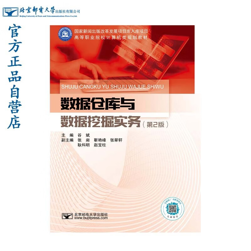 数据仓库与数据挖掘实务(第2版高等职业院校计算机类规划教材)