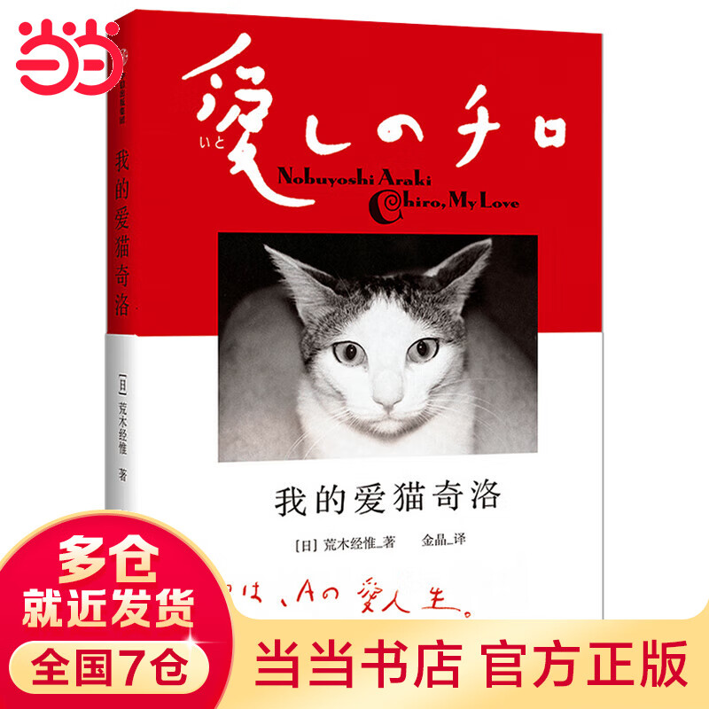当当我的爱猫奇洛