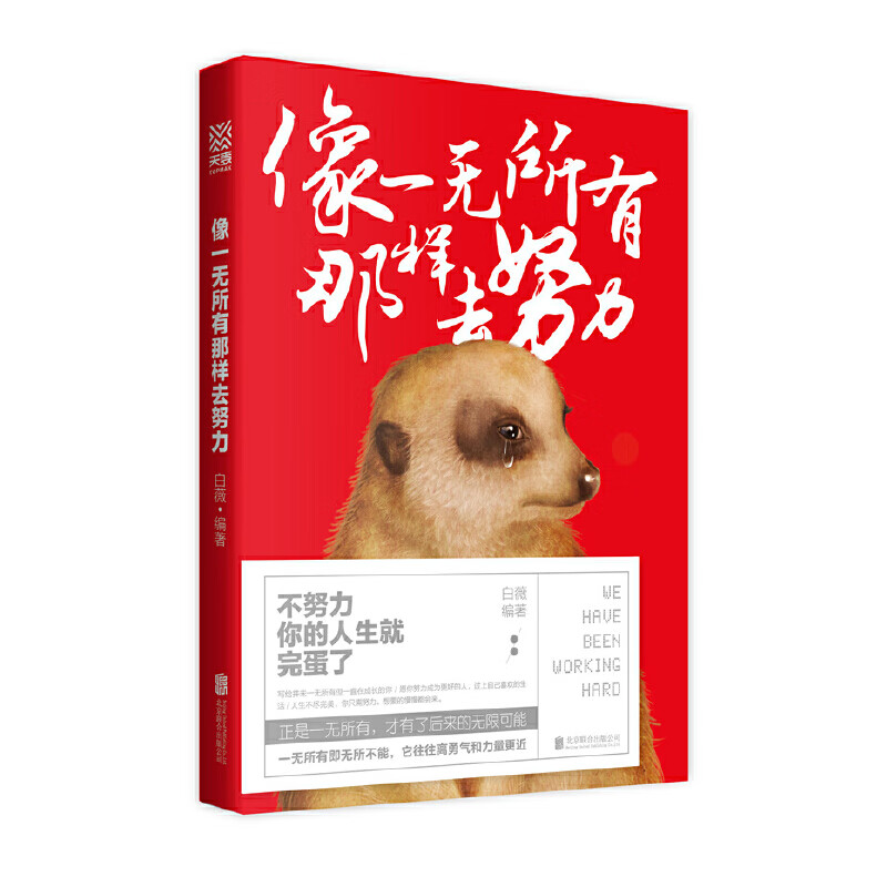 像一无所有那样去努力