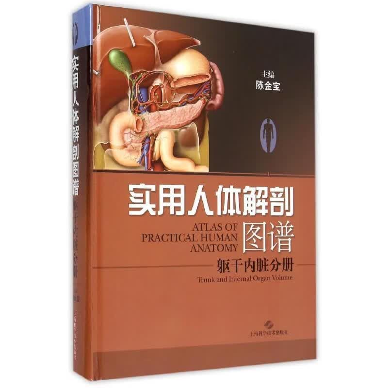 实用人体解剖图谱躯干内脏分册陈金宝主编人体结构解剖构图