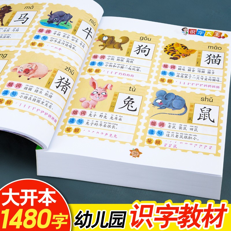 幼儿童书籍早教书看图识字卡片3-6岁 幼小衔接整合教材一日一练幼儿园教材全套 学前班识字大王幼升小