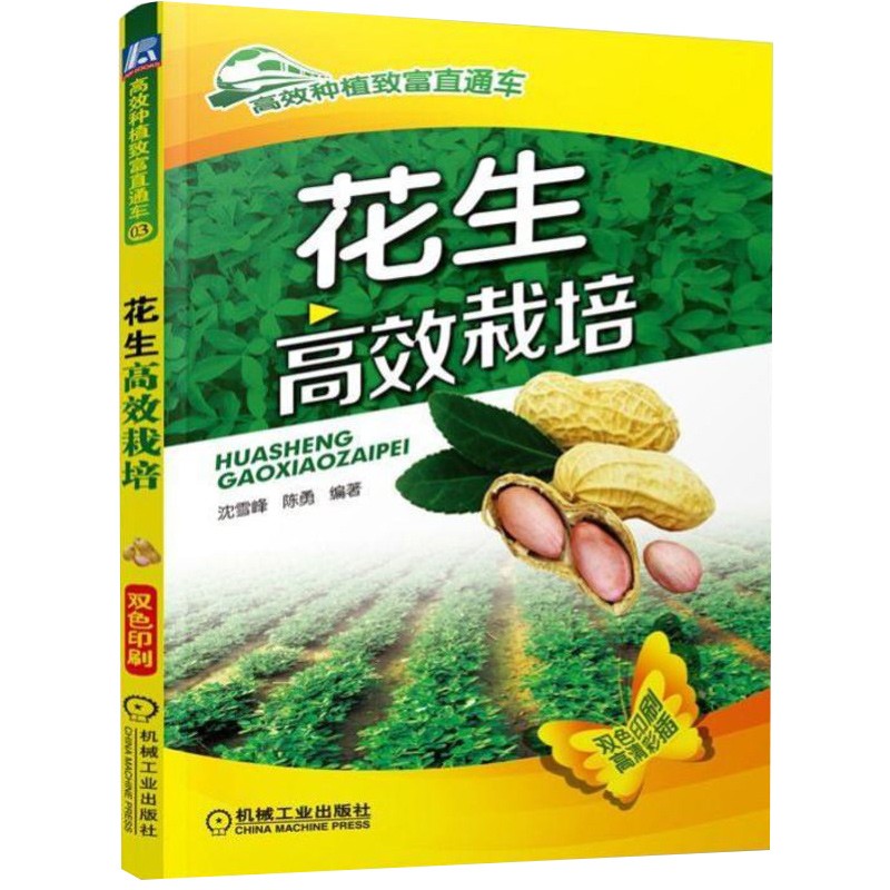 花生高效栽培