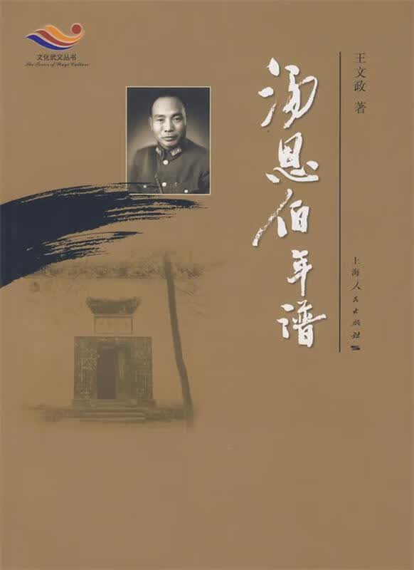汤恩伯年谱 王文政著