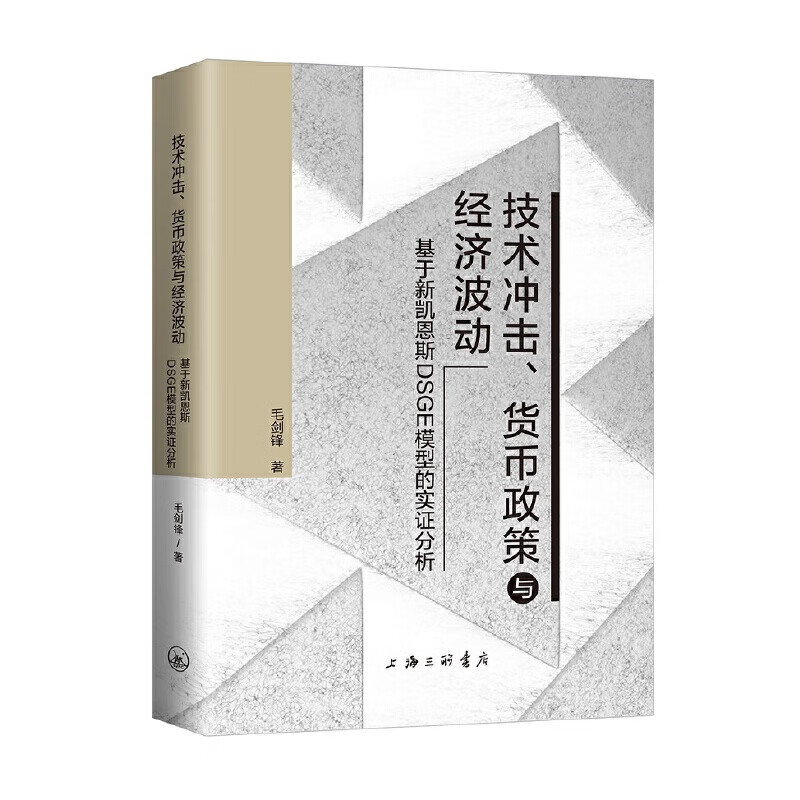 技术冲击、货币政策与经济波动