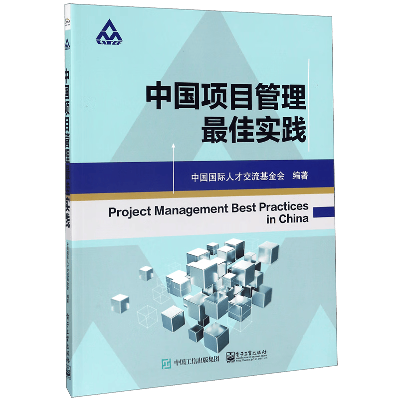 中国项目管理最佳实践