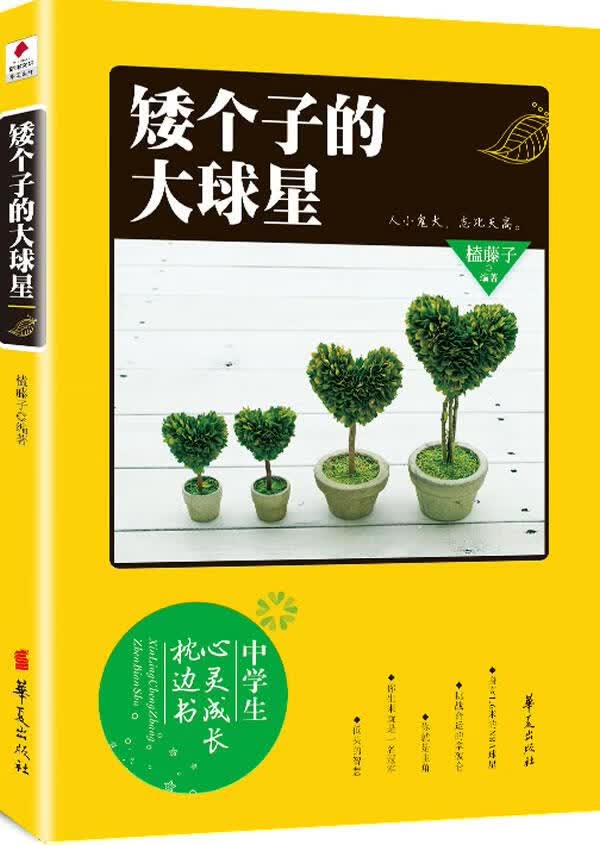 矮个子的大星球