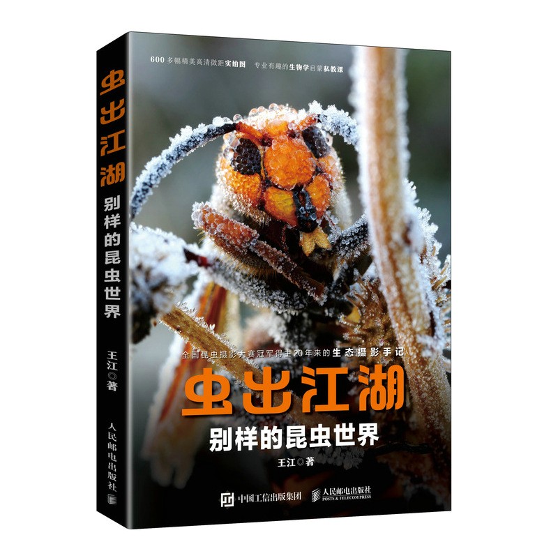 虫出江湖 别样的昆虫世界（异步图书出品）