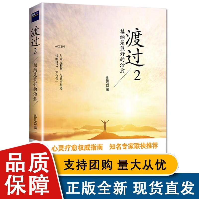 渡过2：接纳是好的治愈
