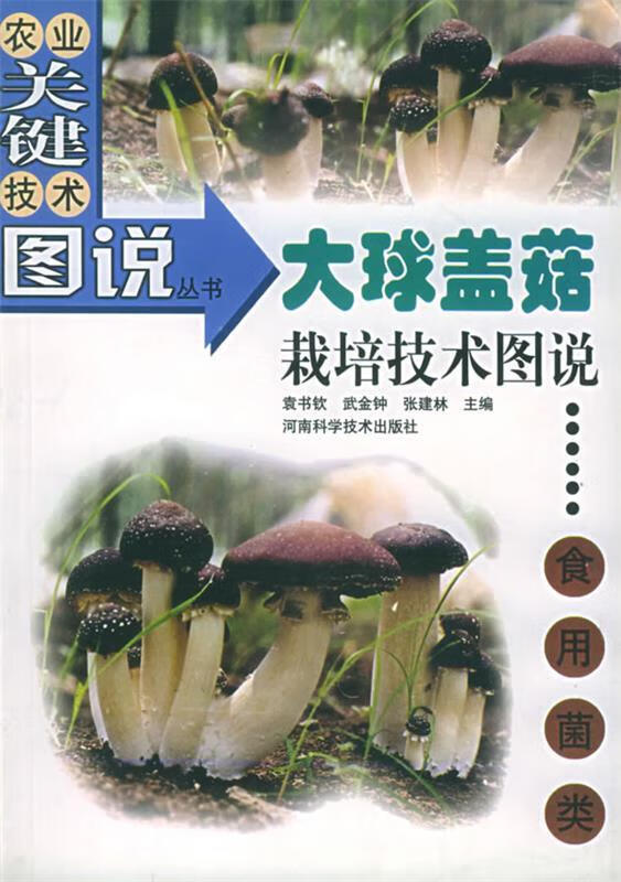 大球盖菇栽培技术图说