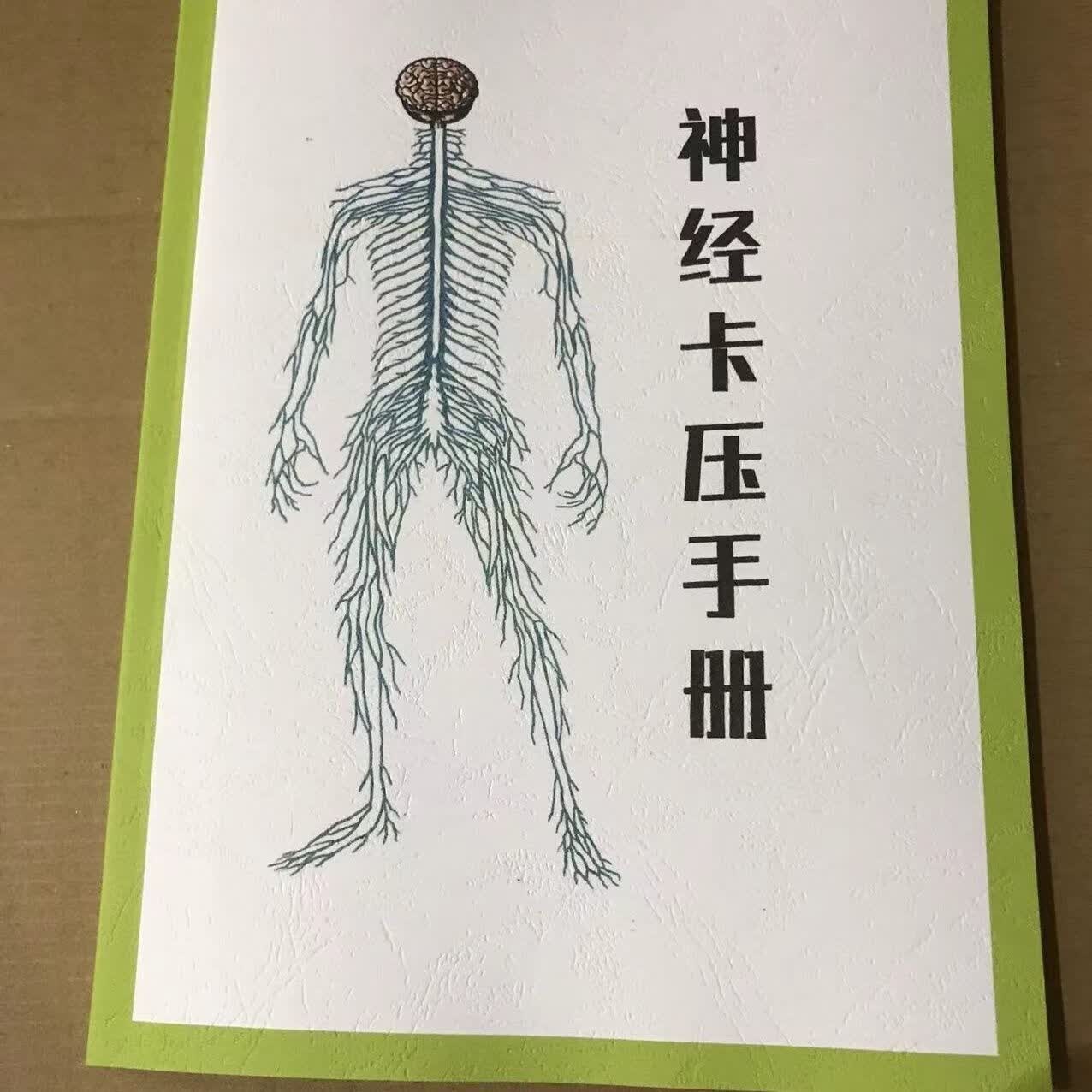 神经卡压手册 五月大哥全身疼痛点查询手册肌肉筋膜松解术 神经卡压手册