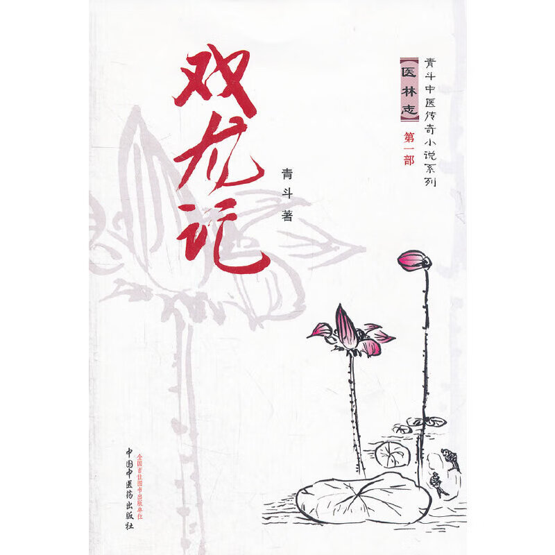 双龙记--医林志第一部