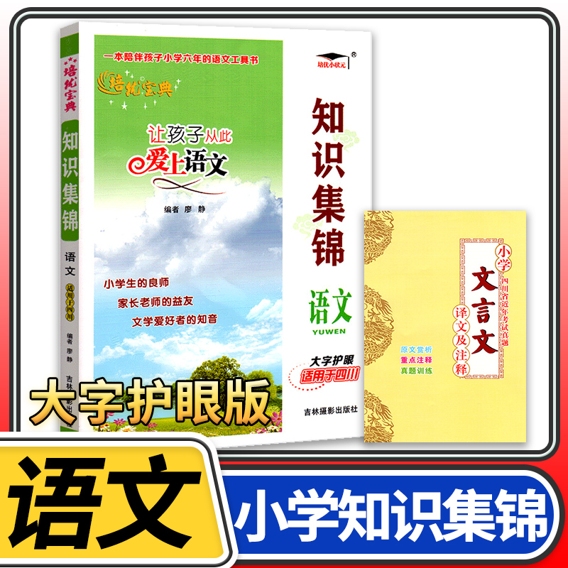 2022新版小学语文知识集锦四川专版【大字护眼】 小升初知识大集结培优宝典爱上语文 小学生四五六年级重点知识集锦基础知识大全