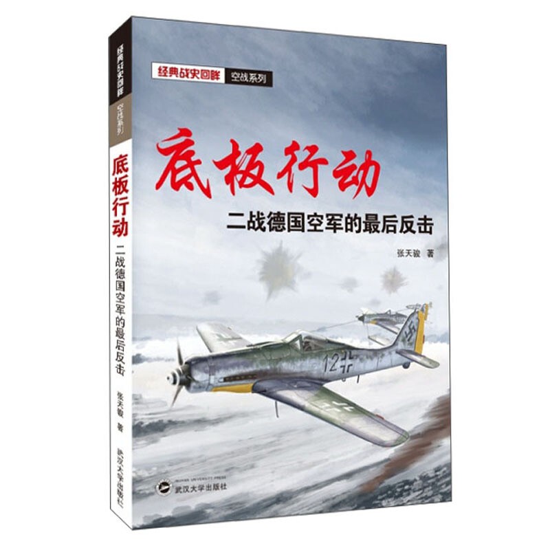 底板行动:二战德国空军的最后反击 武汉大学出版社
