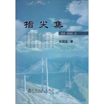 指尖集 张国宝 著