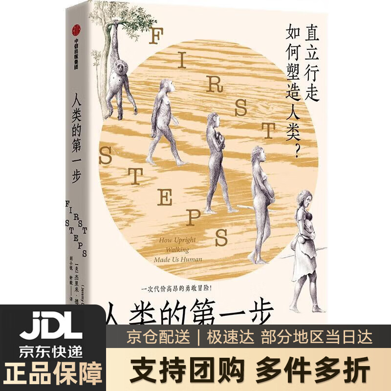 【 送货上门】人类的步：直立行走如何塑造人类？杰里米·德席尔瓦著 中信出版社