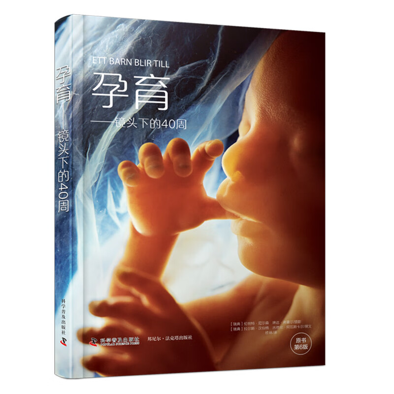 妊娠期 妇幼保健 胎教