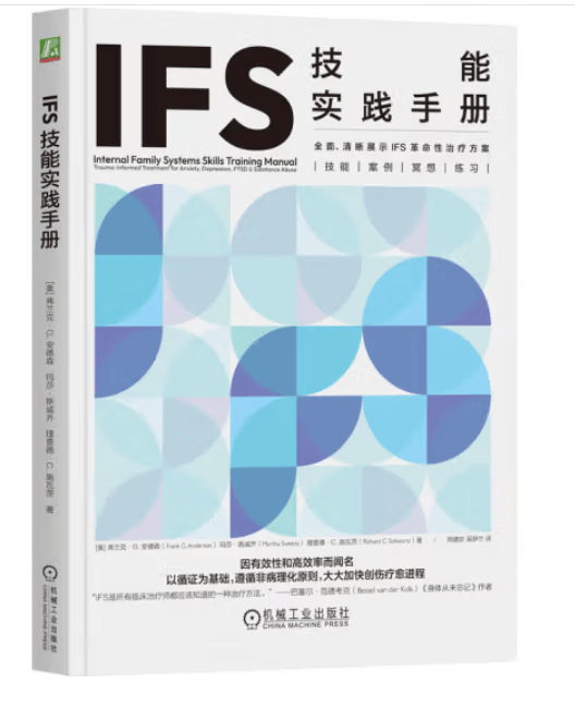 IFS技能实践手册