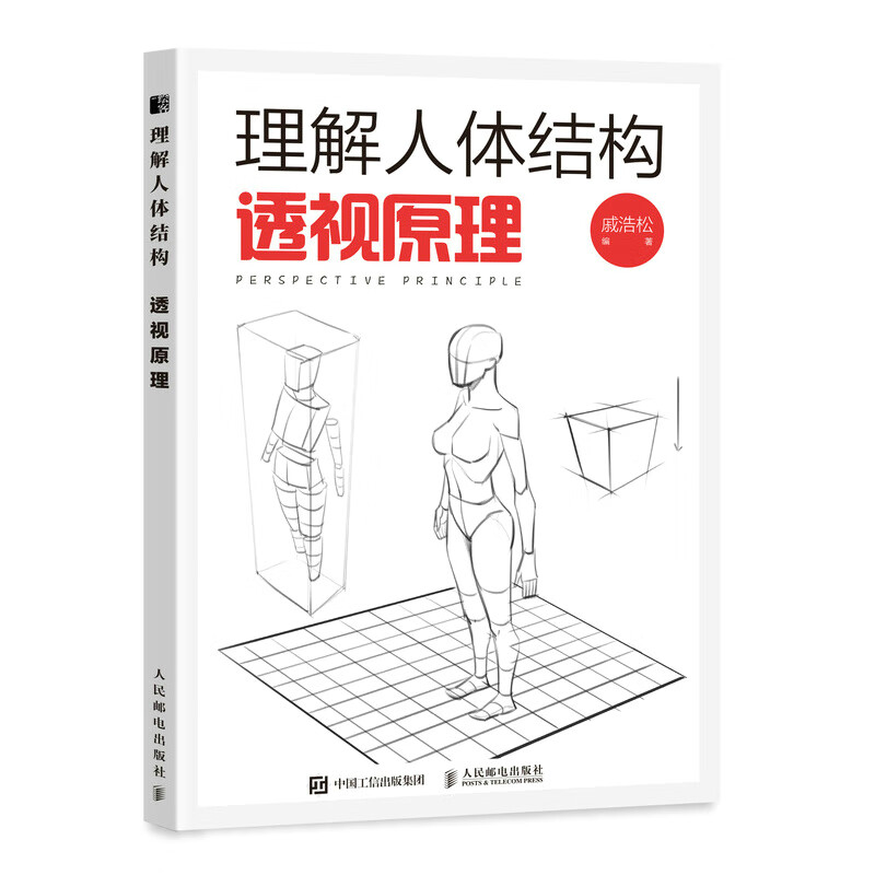 理解人体结构 透视原理（绘客出品）