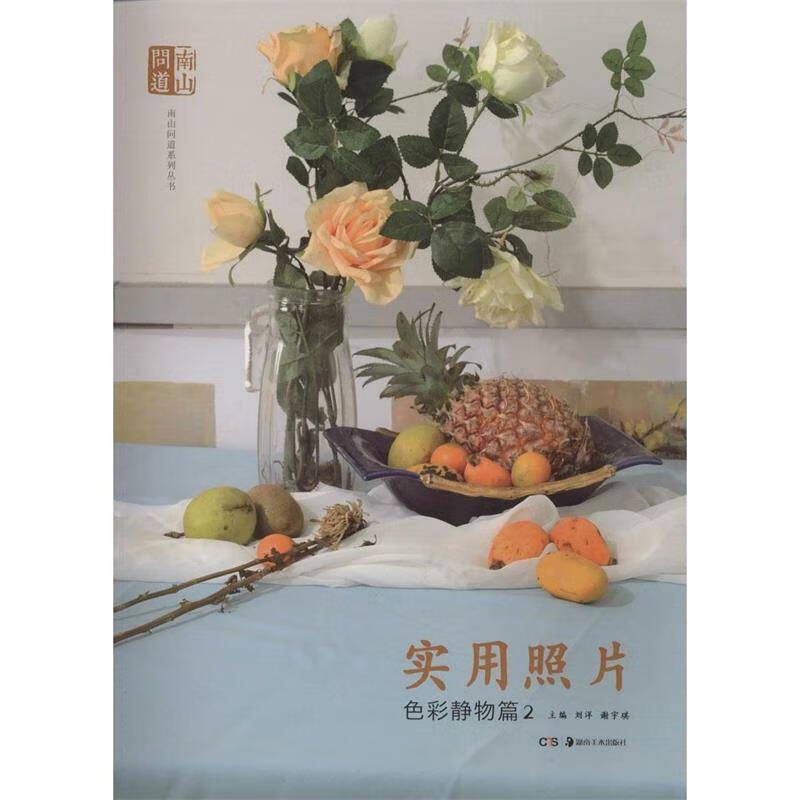 色彩静物篇 刘洋 编