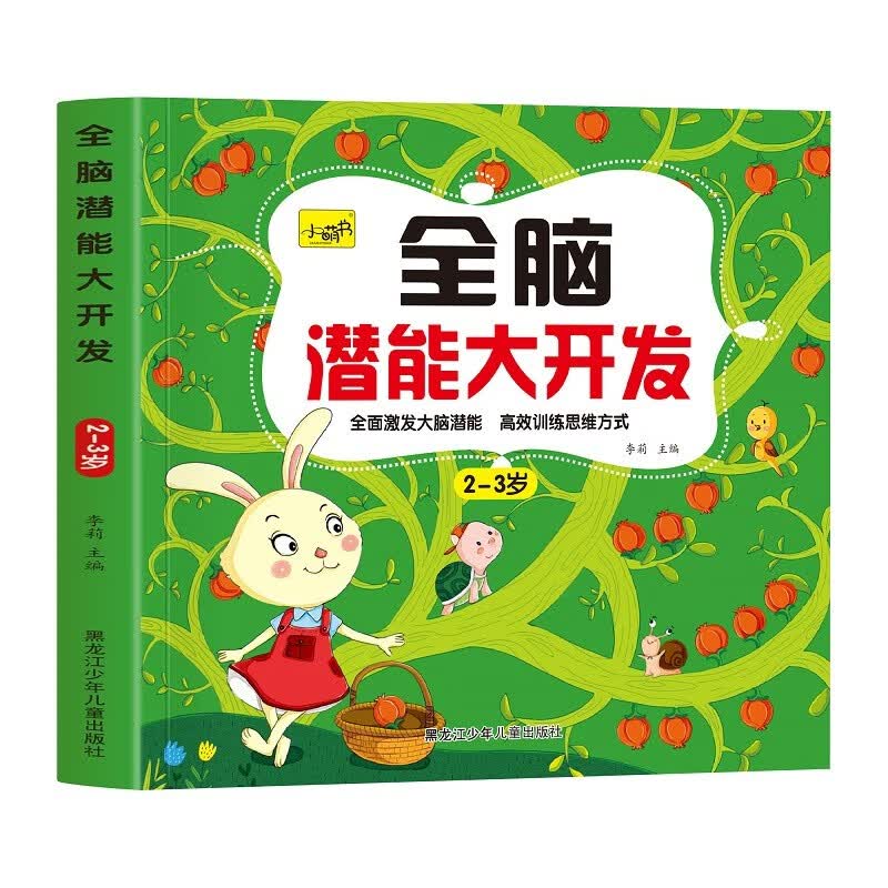 左右脑全脑智力开发幼儿专注力训练启蒙2-3-4-5-6岁儿童全脑逻辑思维训练早教启蒙益智游戏书 全脑潜能大开发2-3岁