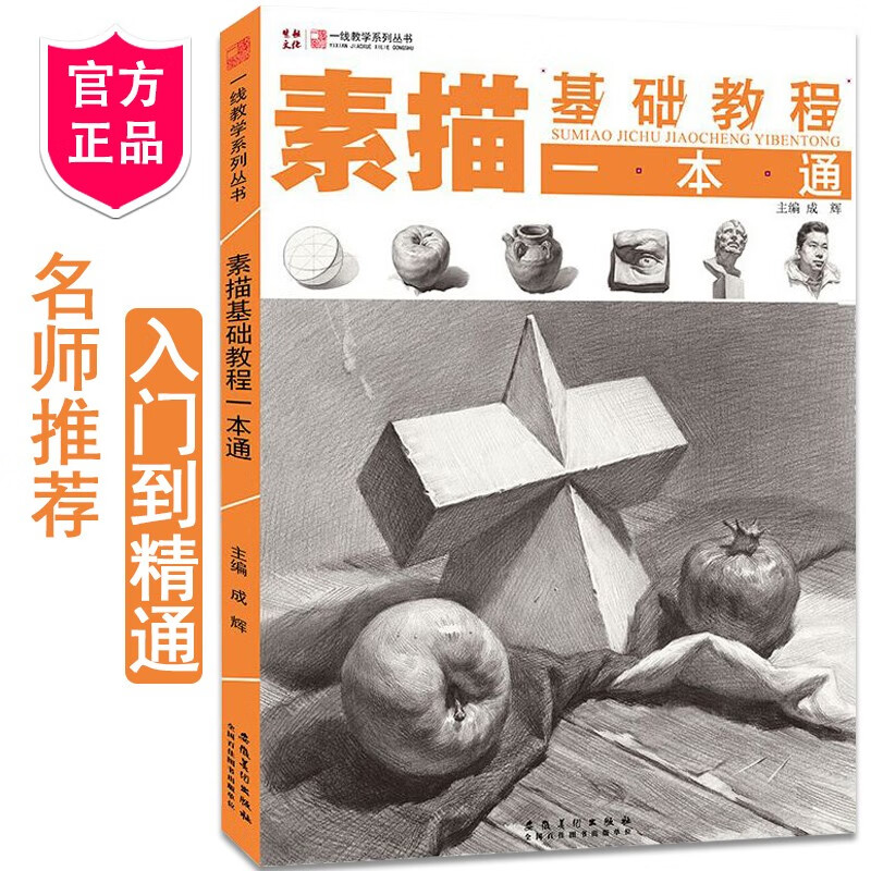 素描静物 素描基础教程一本通素描技法 高等学校入学考试临摹范本