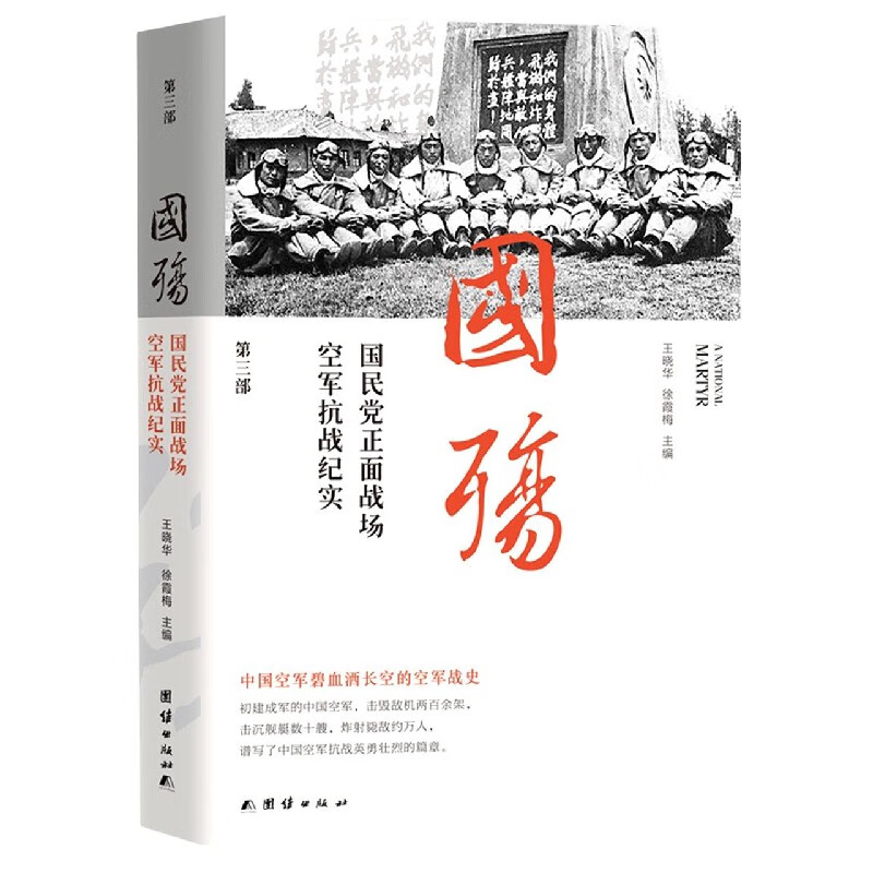 国殇(第3部国民党正面战场空军抗战纪实)