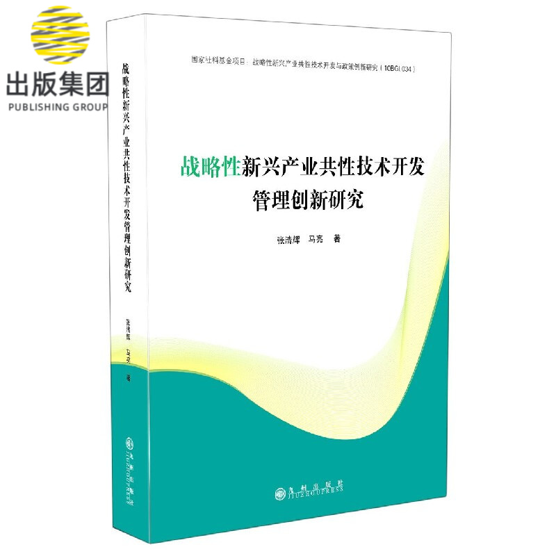 战略性新兴产业共性技术开发管理创新研究