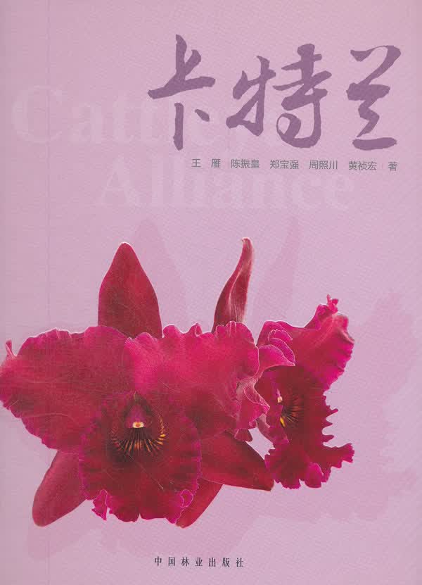 【现货】卡特兰王雁等著 北方图书城