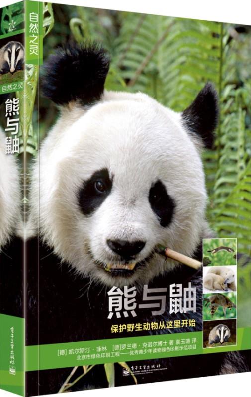 自然之灵熊与鼬